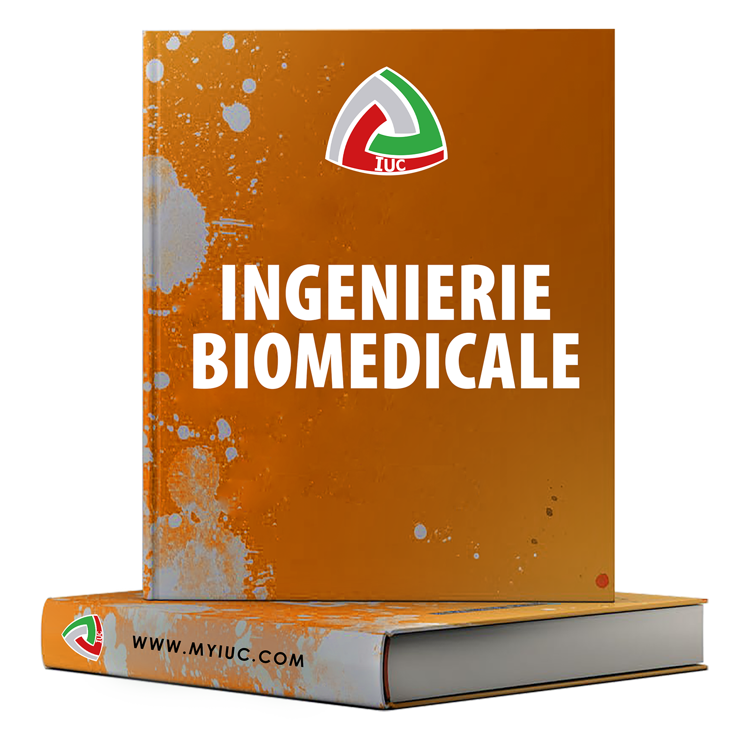 ING – INGENIERIE BIOMEDICALE – IISTI