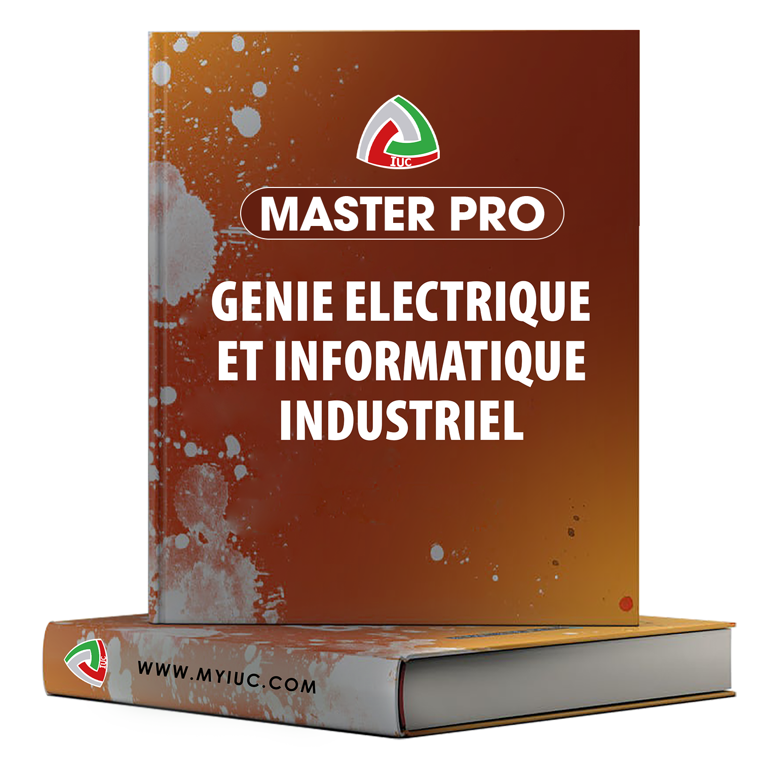 M.PRO – GENIE ELECTRIQUE ET INFORMATIQUE INDUSTRIEL – IISTI